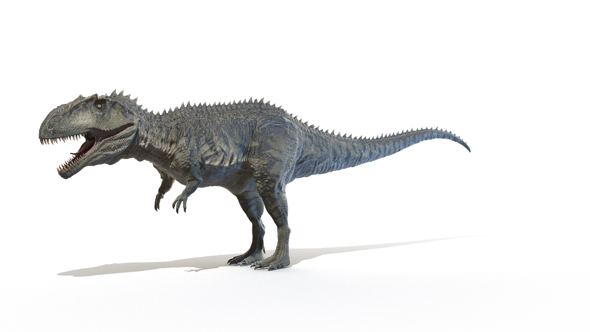 Giganotosaurus giganoto 3D model - TurboSquid 1574979