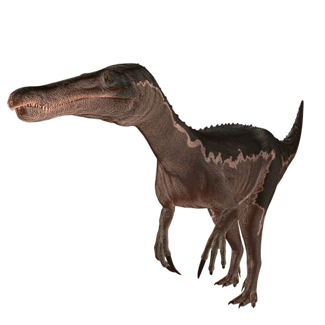 3D baryonyx walkeri model - TurboSquid 1575026