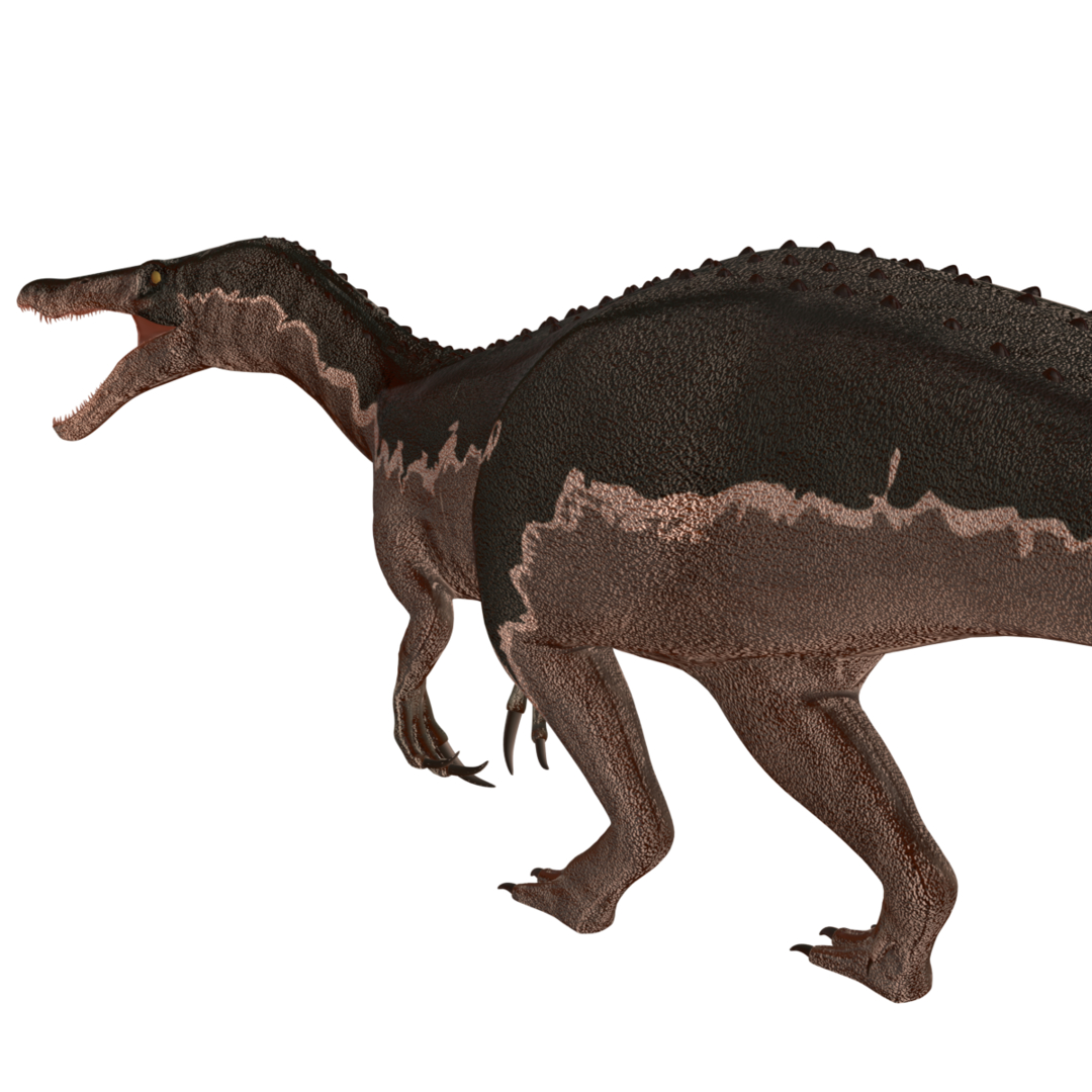 3D baryonyx walkeri model - TurboSquid 1575026