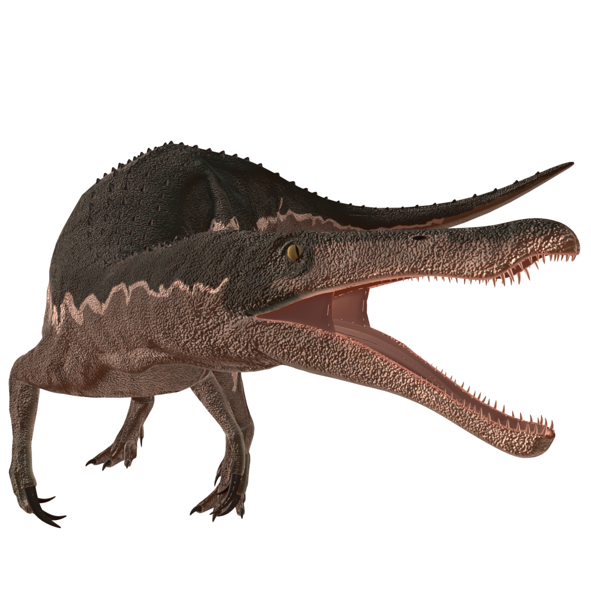3D baryonyx walkeri model - TurboSquid 1575026
