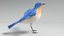 3D bluebird polys model - TurboSquid 1575133
