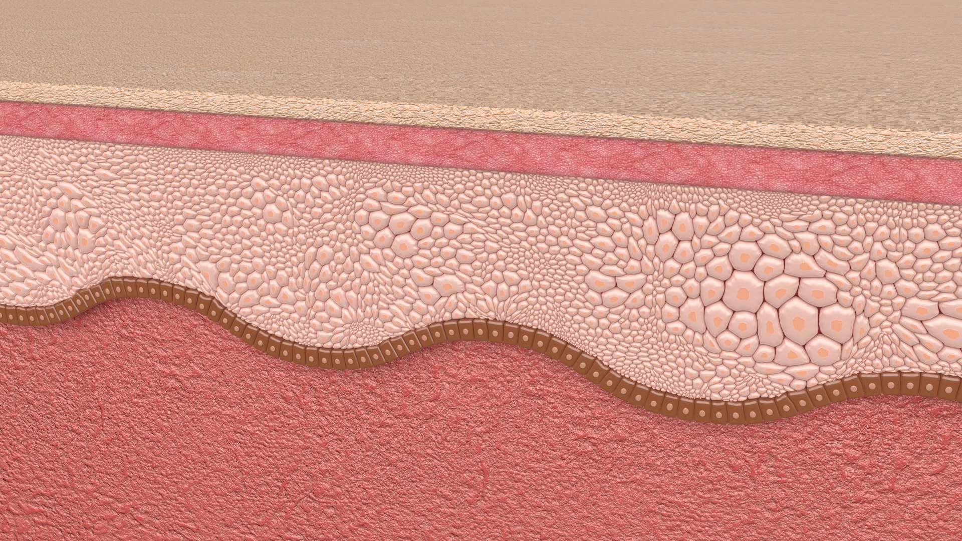 Skin healthy 3D - TurboSquid 1575443