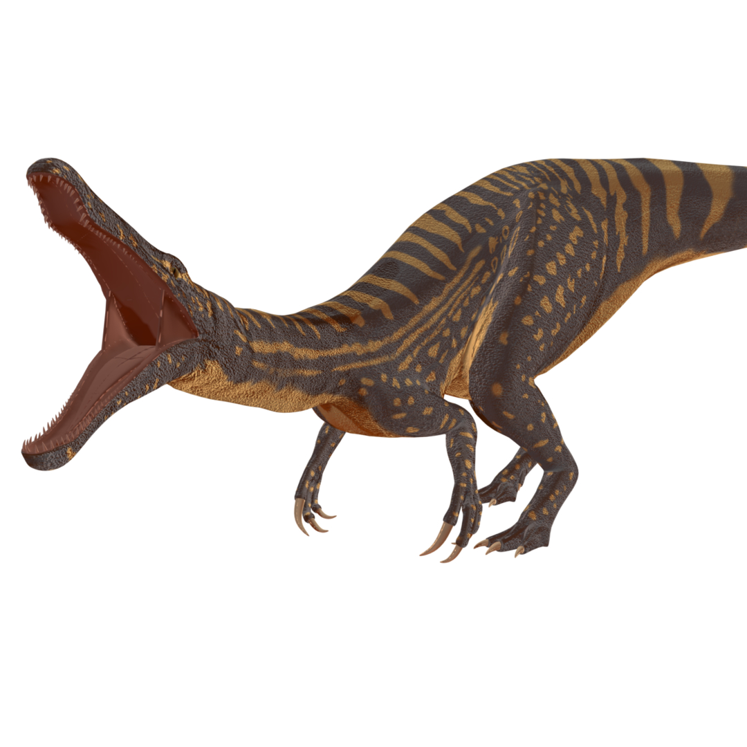 3D suchomimus tenerensis model - TurboSquid 1575772