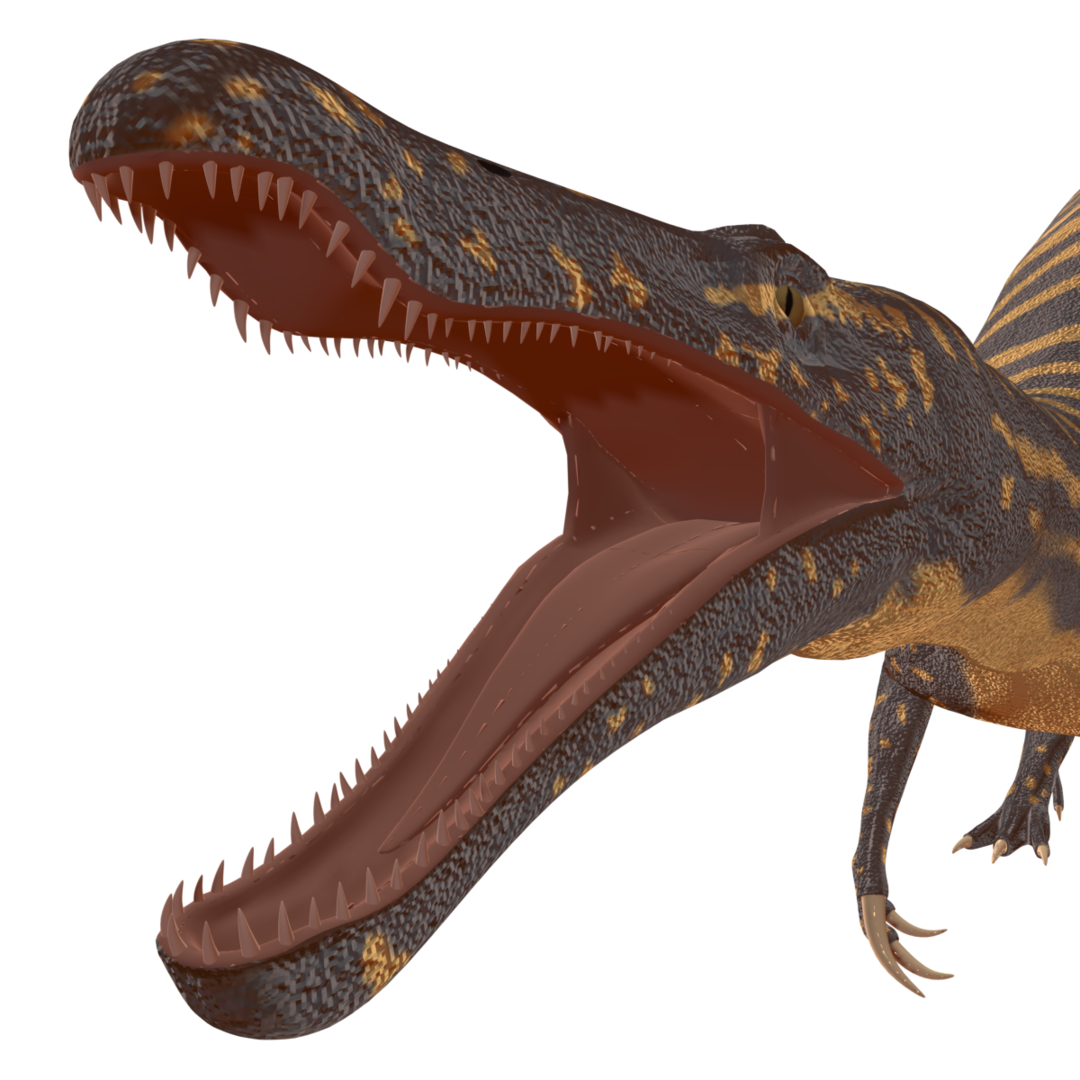 3D suchomimus tenerensis model - TurboSquid 1575772