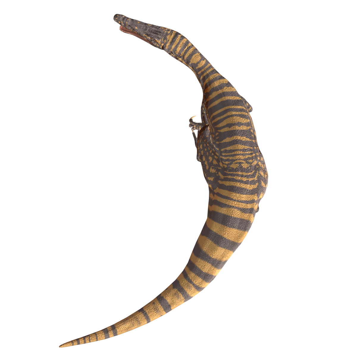 3D suchomimus tenerensis model - TurboSquid 1575772