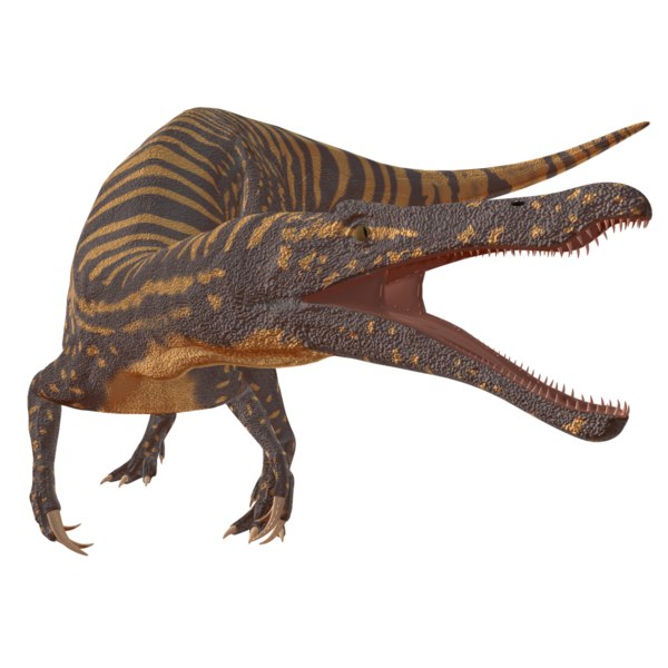 3D suchomimus tenerensis model - TurboSquid 1575772