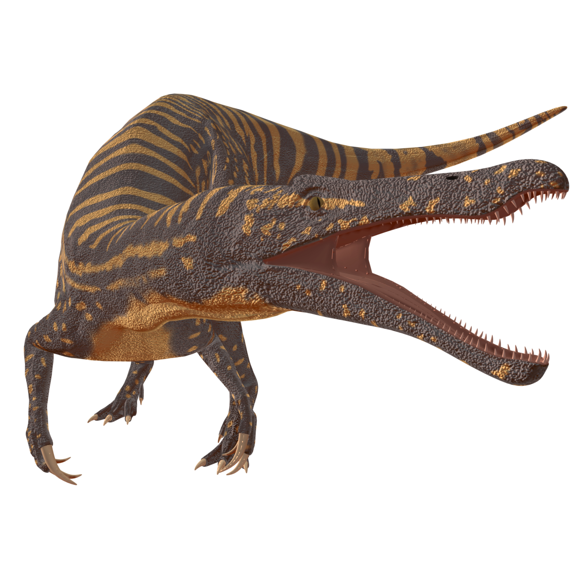 3D suchomimus tenerensis model - TurboSquid 1575772