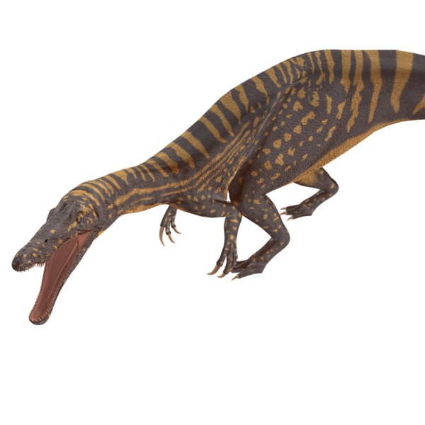 3D suchomimus tenerensis model - TurboSquid 1575772