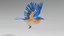 3D bluebird animations model - TurboSquid 1576033