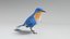 3D bluebird animations model - TurboSquid 1576033
