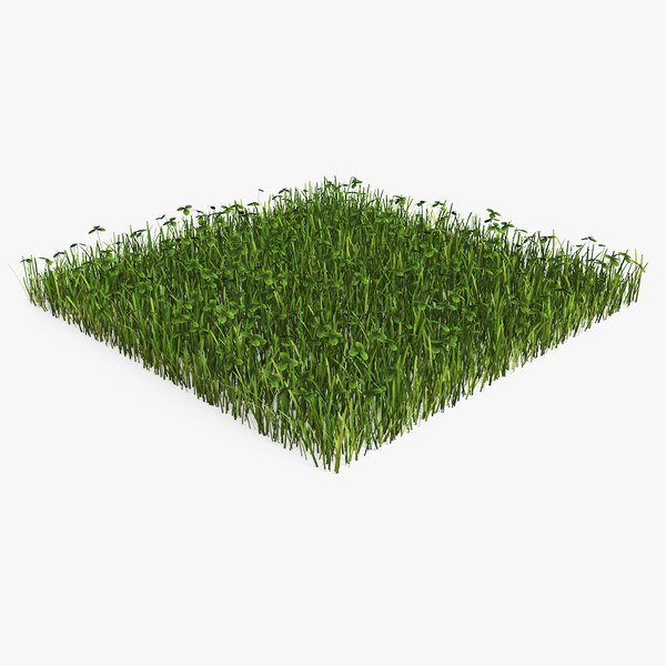 Free 3D Grass Models | TurboSquid