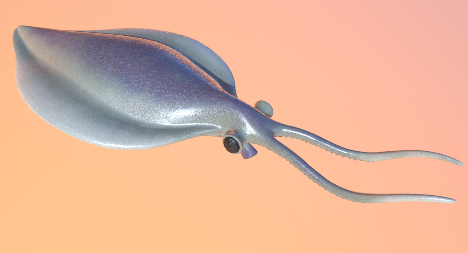 3D nectocaris pteryx - TurboSquid 1576374
