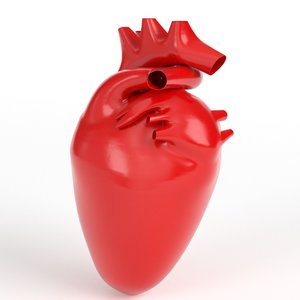 Blender Heart Models | TurboSquid