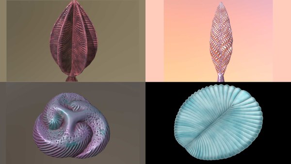 Pambdelurion Whittingtoni Modelo 3D - TurboSquid 1555371