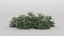 3D shrubs 60 - TurboSquid 1381776