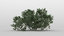 3D shrubs 60 - TurboSquid 1381776