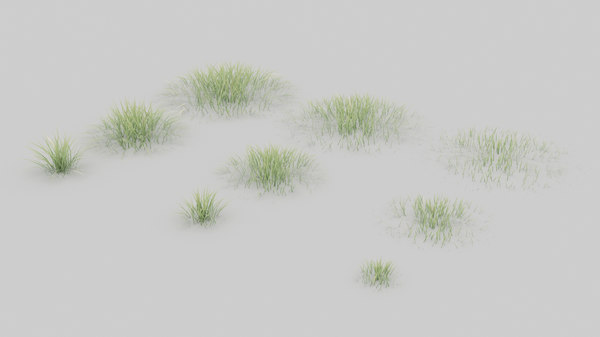 3D 20 grass flowers ground - TurboSquid 1396164