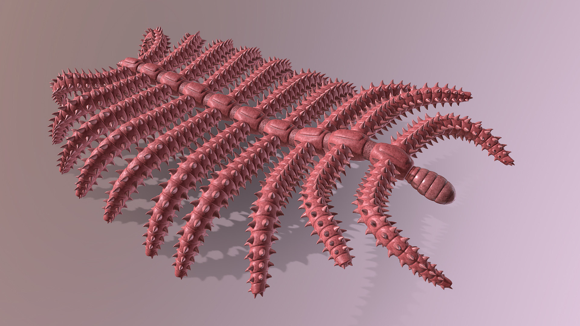 Diania cactiformis 3D model - TurboSquid 1577912