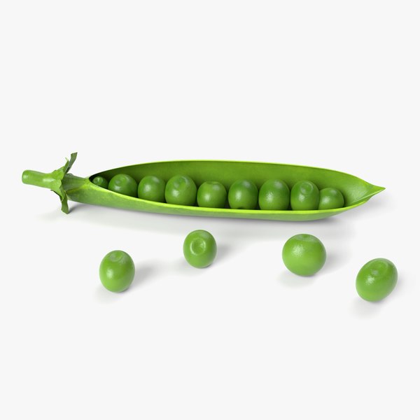 Pea pod model - TurboSquid 1578499