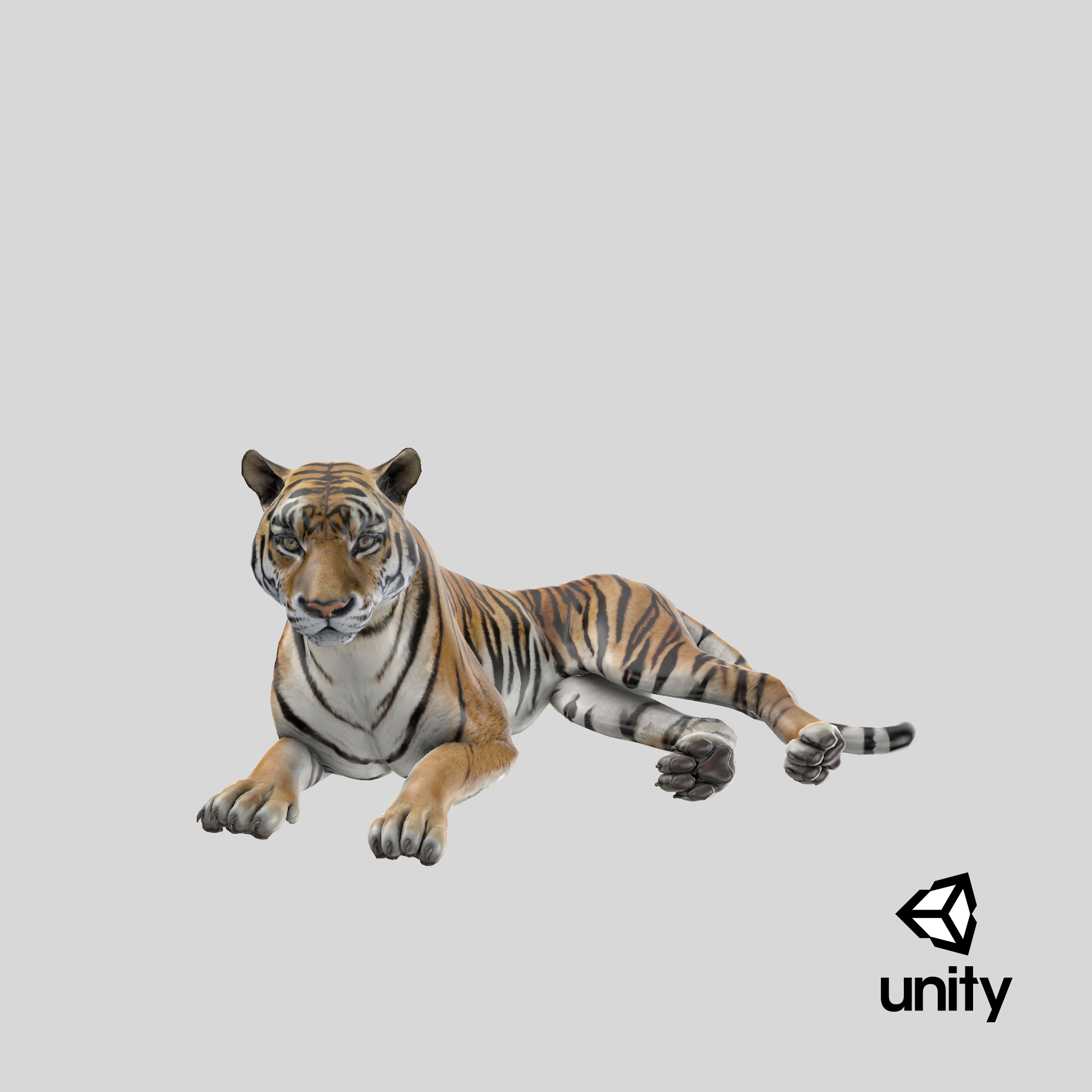 3D model lying tiger - TurboSquid 1272200