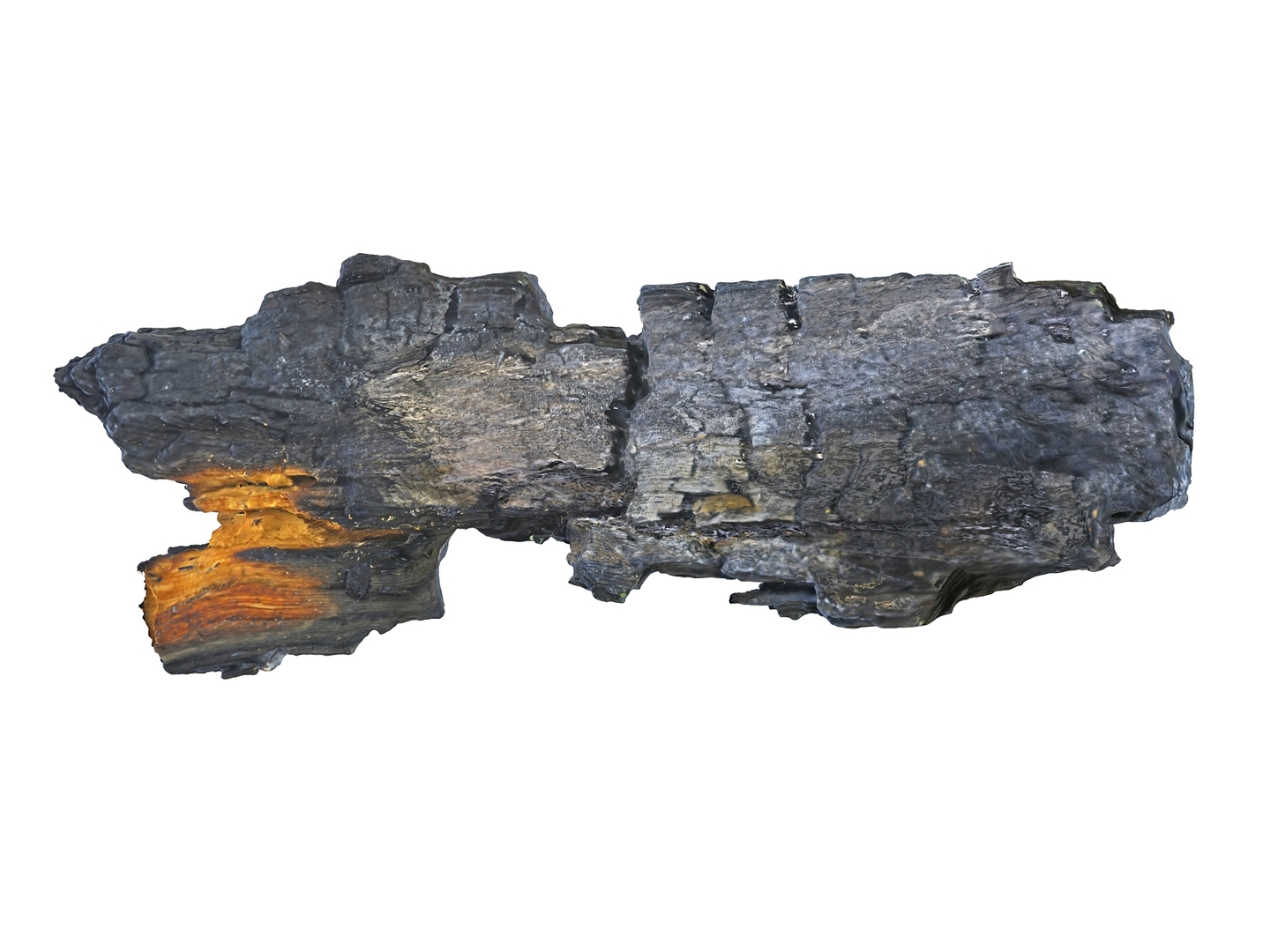 Burned tree branch 8k 3D model - TurboSquid 1578944