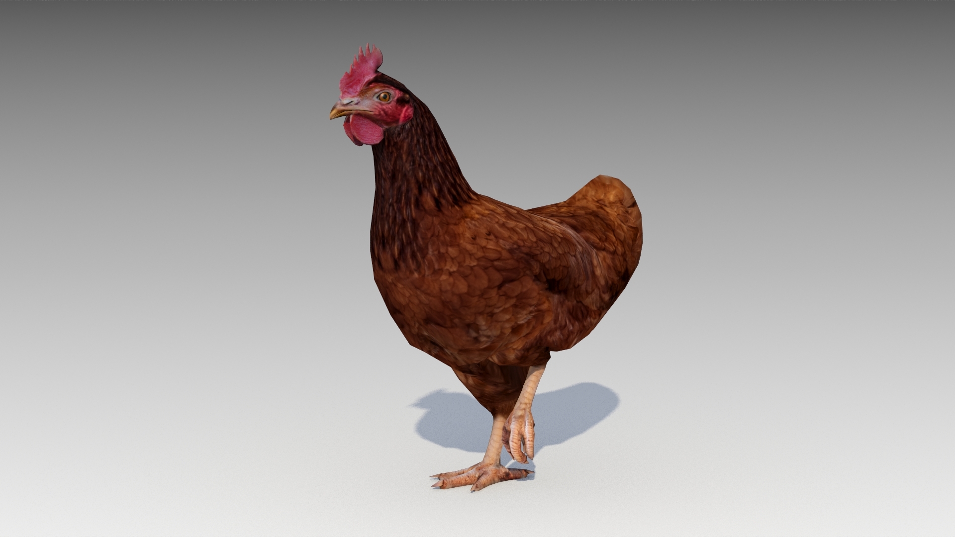 3D chicken model - TurboSquid 1579981