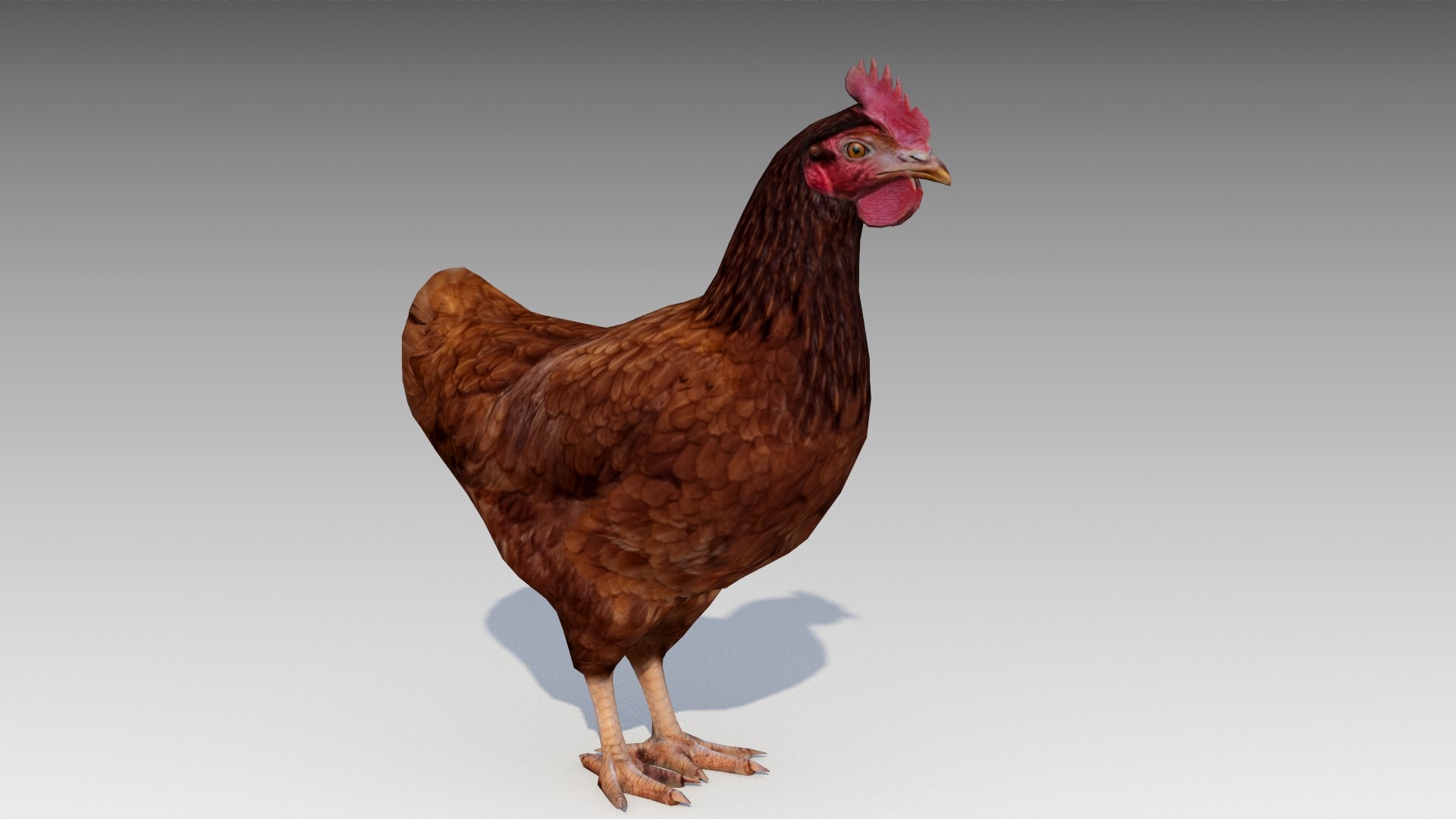 3D chicken model - TurboSquid 1579981