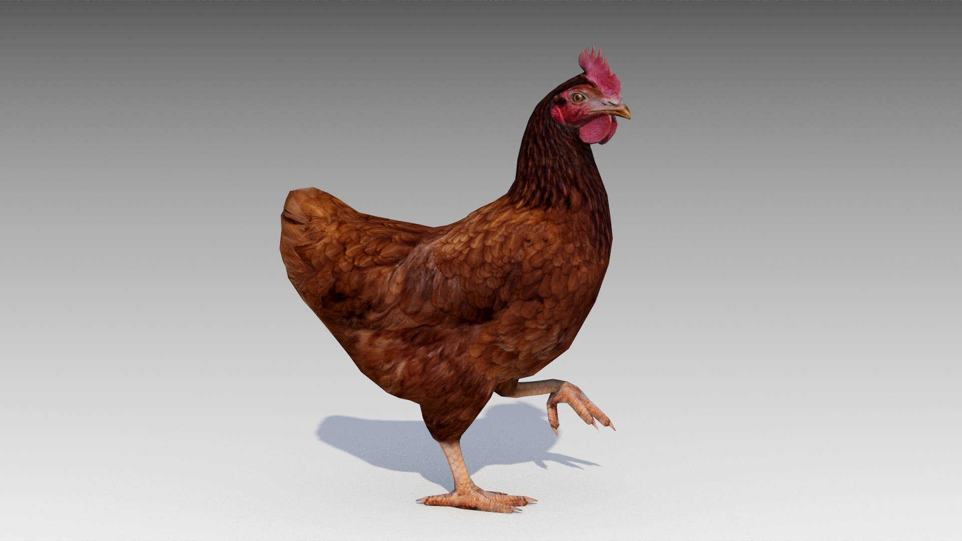 3D chicken model - TurboSquid 1579981