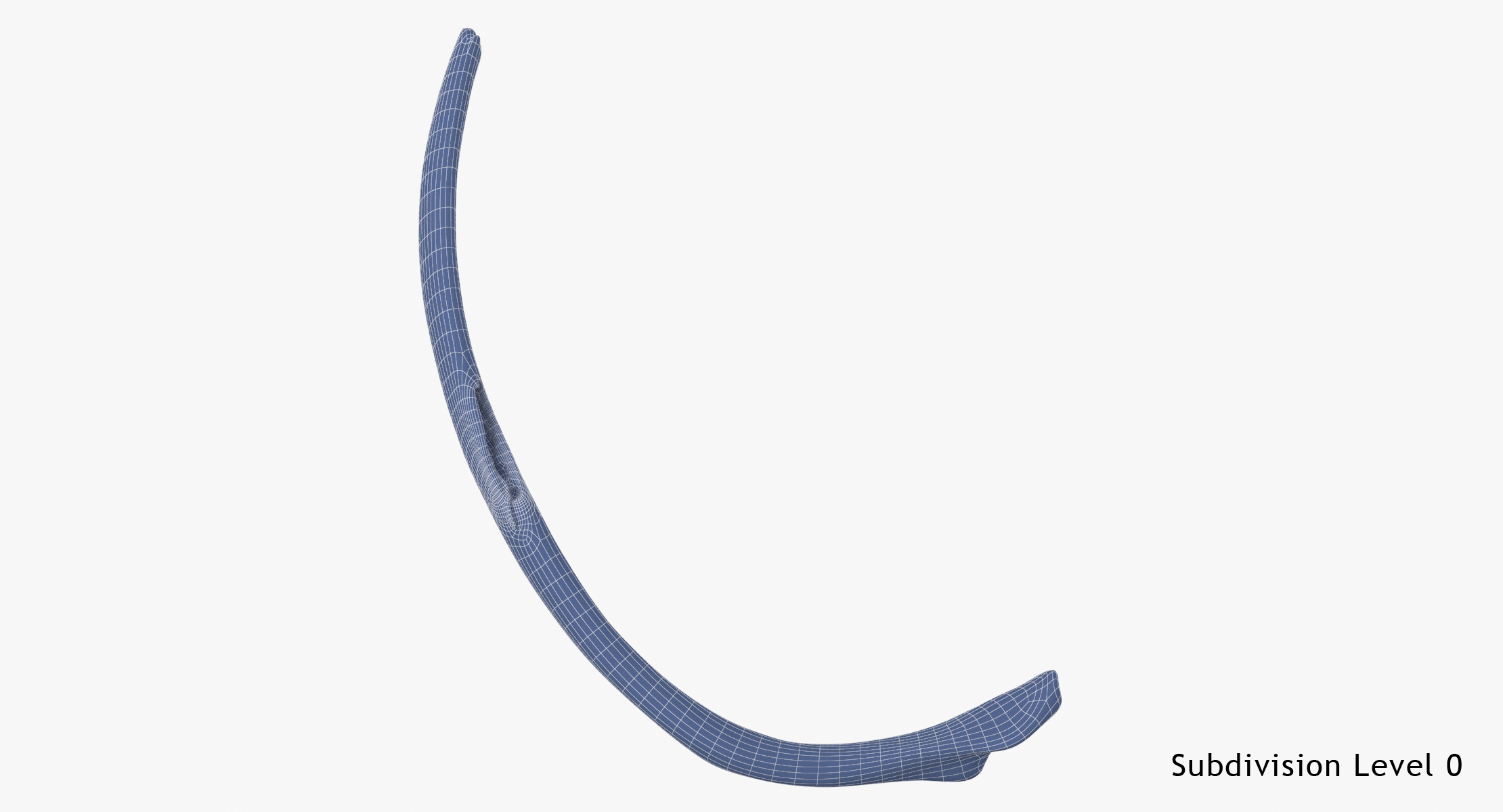 Costae fluctuantes floating rib 3D model - TurboSquid 1580157