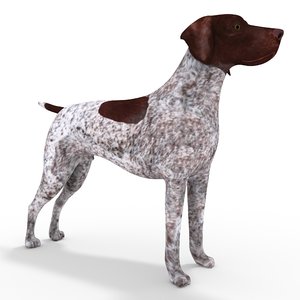 Dog STL Models for Download | TurboSquid