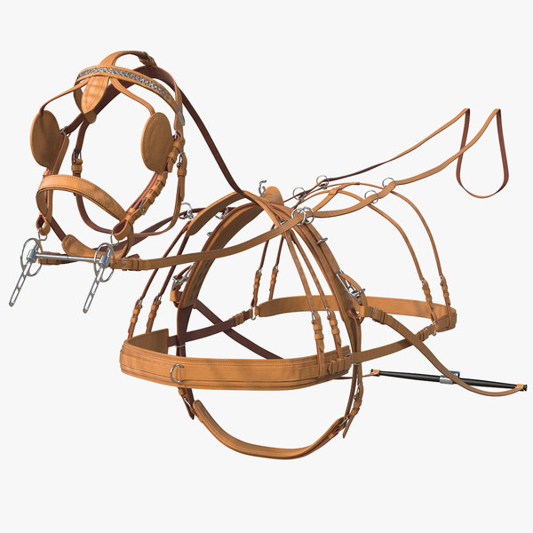 Leather single driving harness 3D model - TurboSquid 1581063