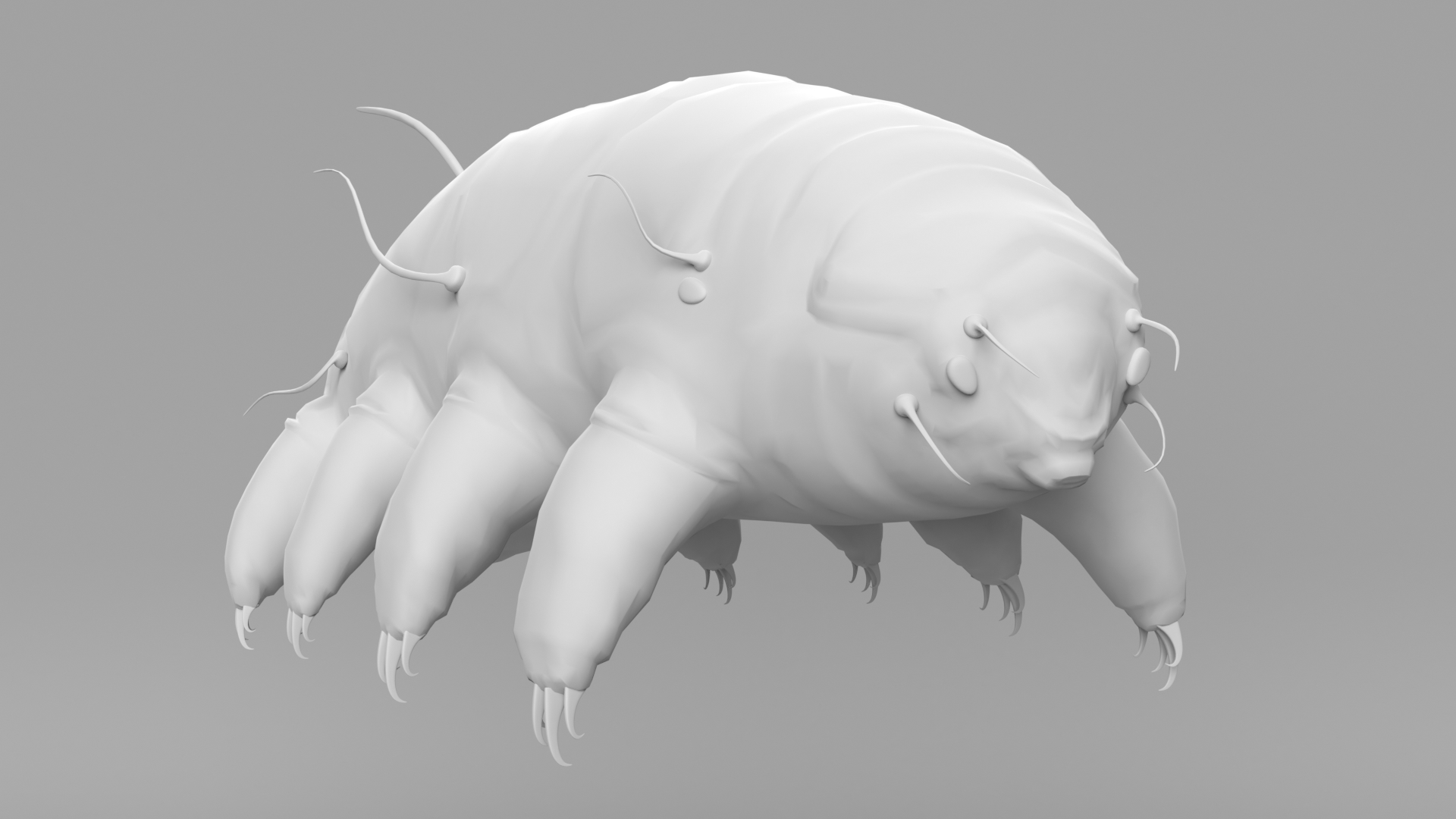 Tardigrade pbr 3D model - TurboSquid 1582265