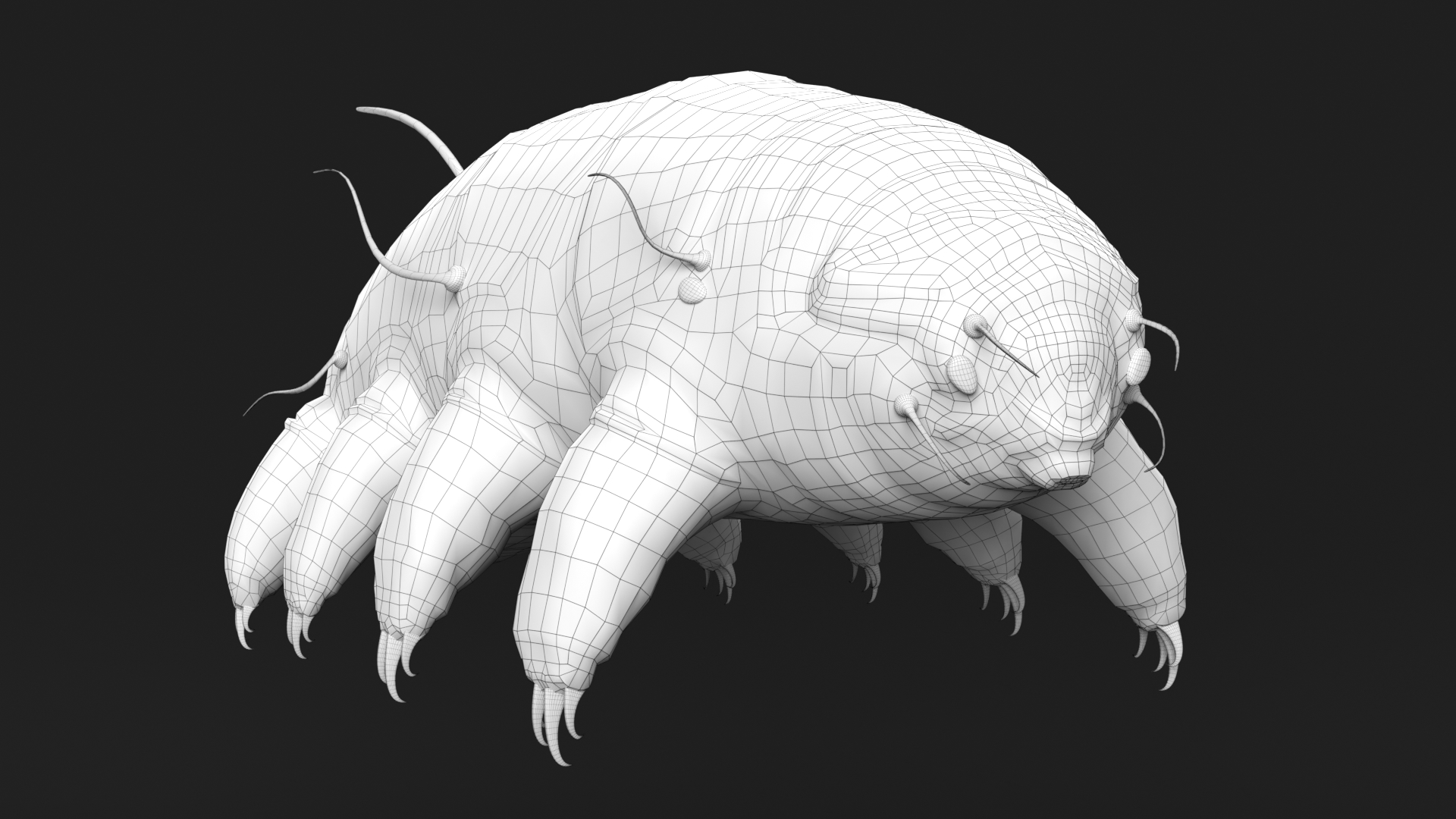 Tardigrade pbr 3D model - TurboSquid 1582265