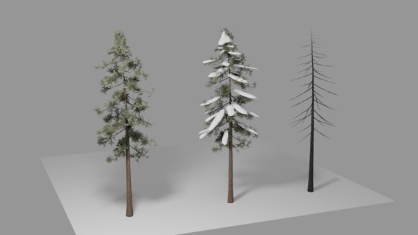 Pine Tree Blender Models for Download | TurboSquid