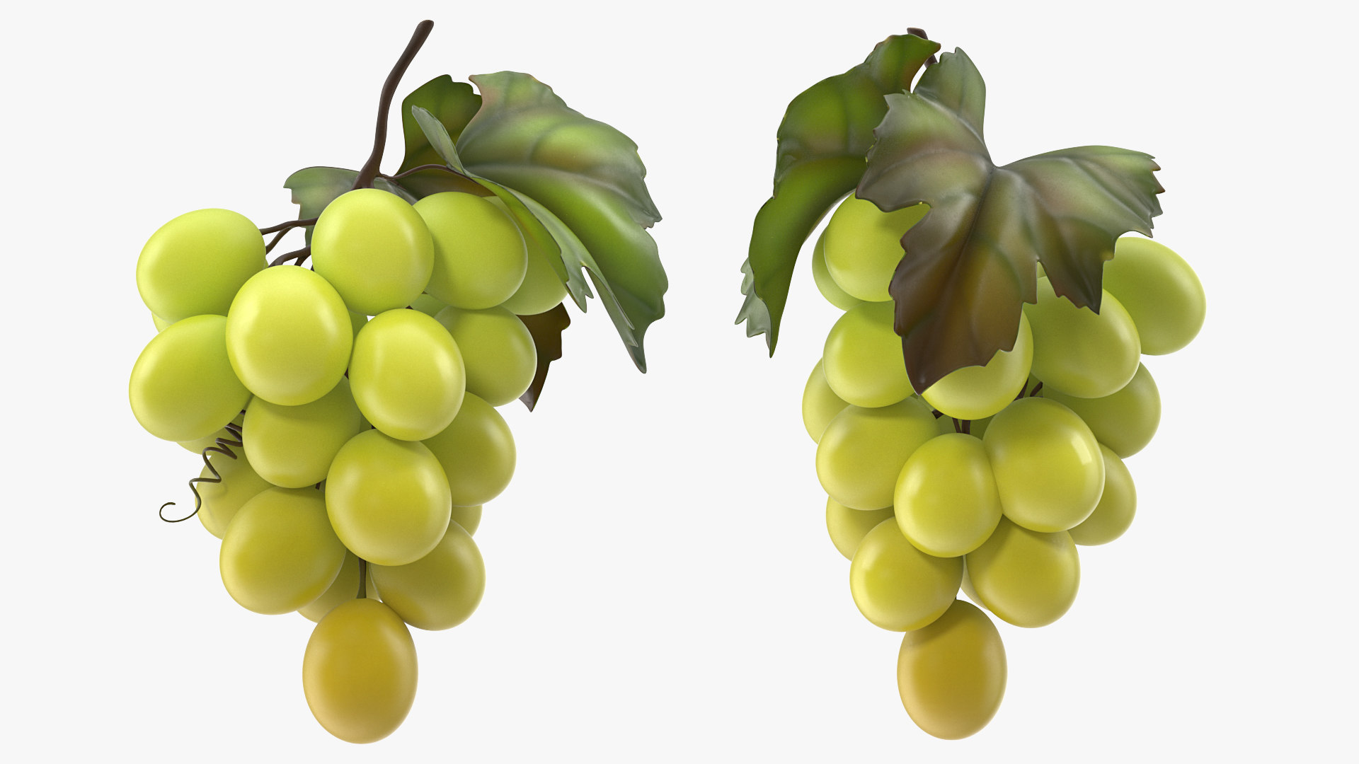 Bunch fresh green grapes 3D model - TurboSquid 1583297