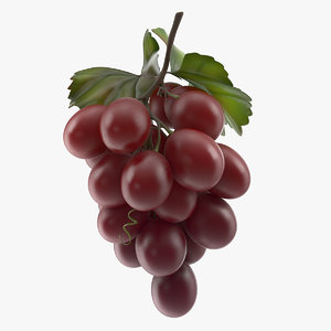 Grape 3D Models for Download | TurboSquid