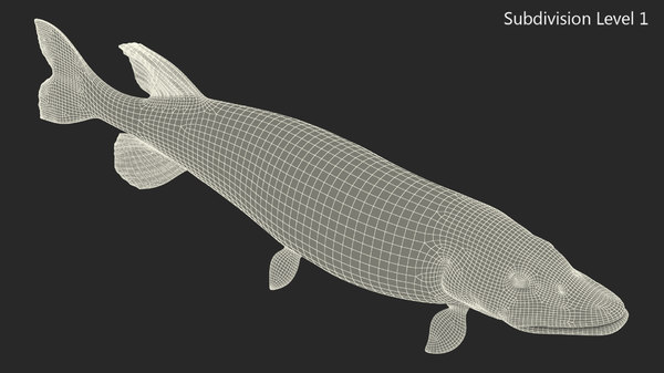 Pike fish swimming pose 3D model - TurboSquid 1584585