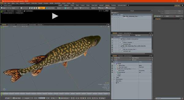 Pike fish swimming pose 3D model - TurboSquid 1584585