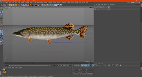Pike fish swimming pose 3D model - TurboSquid 1584585