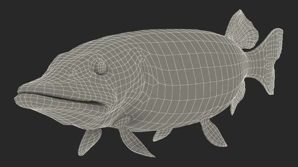 Pike fish swimming pose 3D model - TurboSquid 1584585