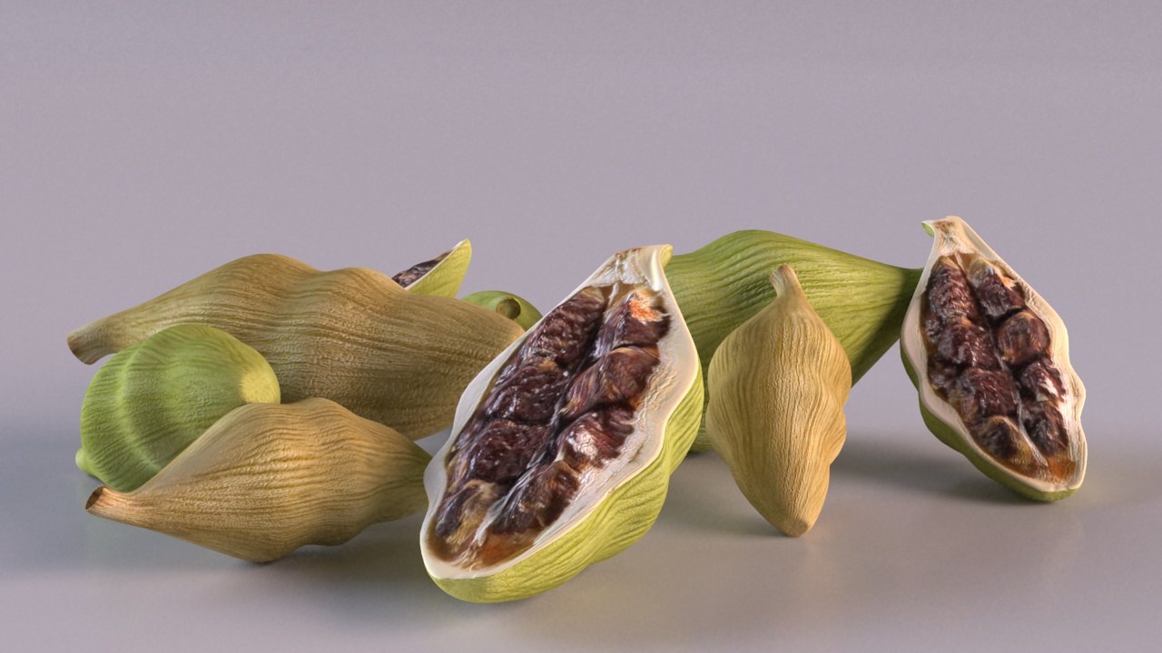 3D cardamom spice plants tree model - TurboSquid 1381209