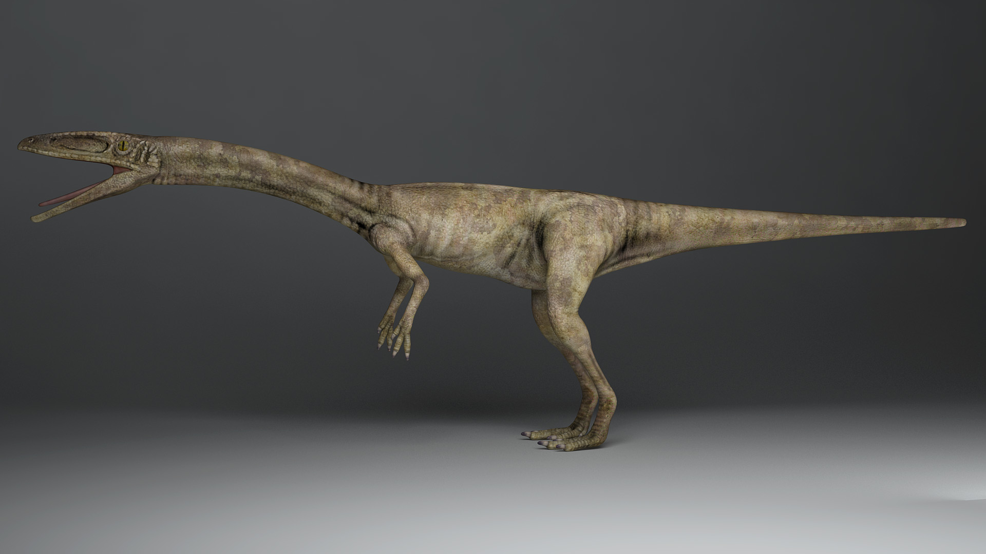 modelo 3d Celofisis - TurboSquid 1584887