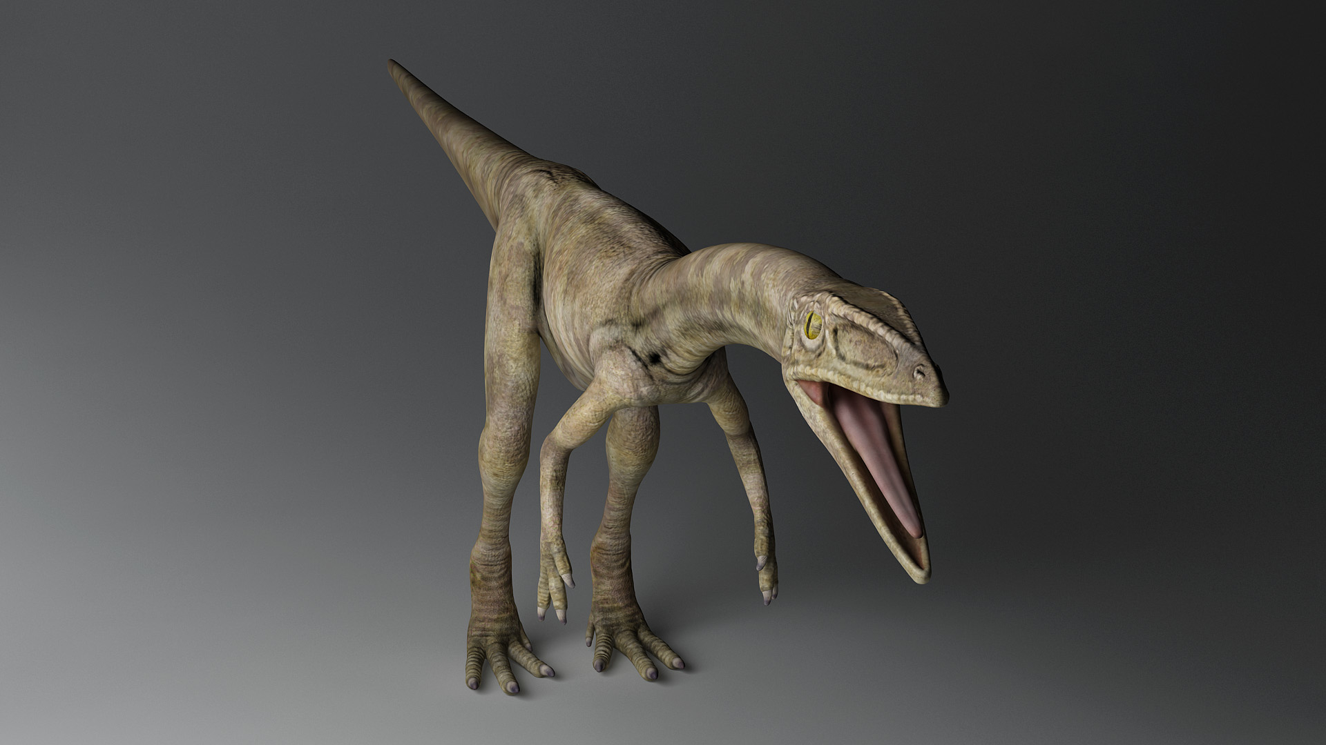 modelo 3d Celofisis - TurboSquid 1584887