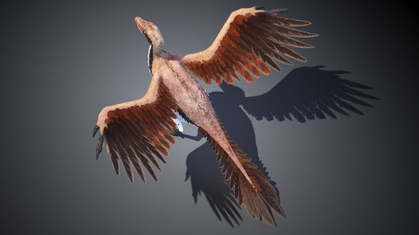 Archaeopteryx 3D model - TurboSquid 1587666