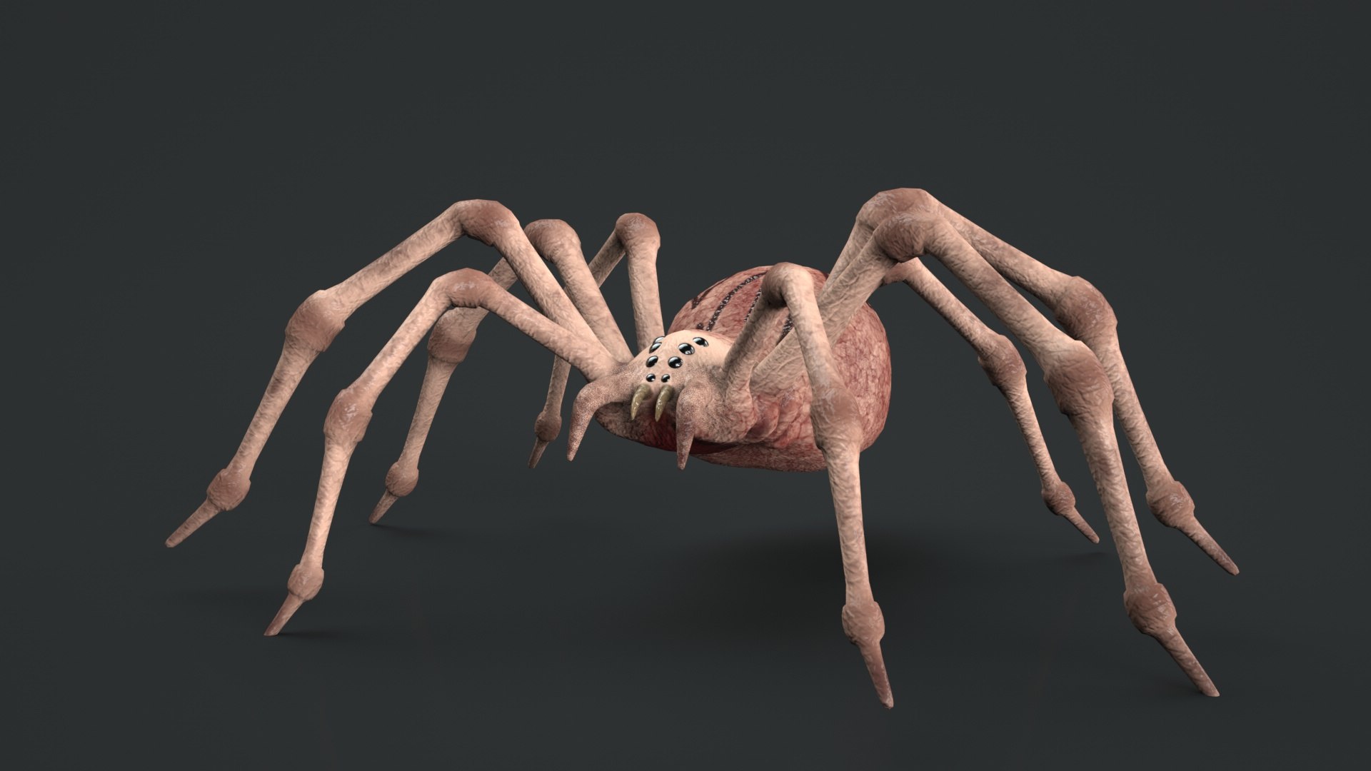Spider rigged 3D model - TurboSquid 1588388