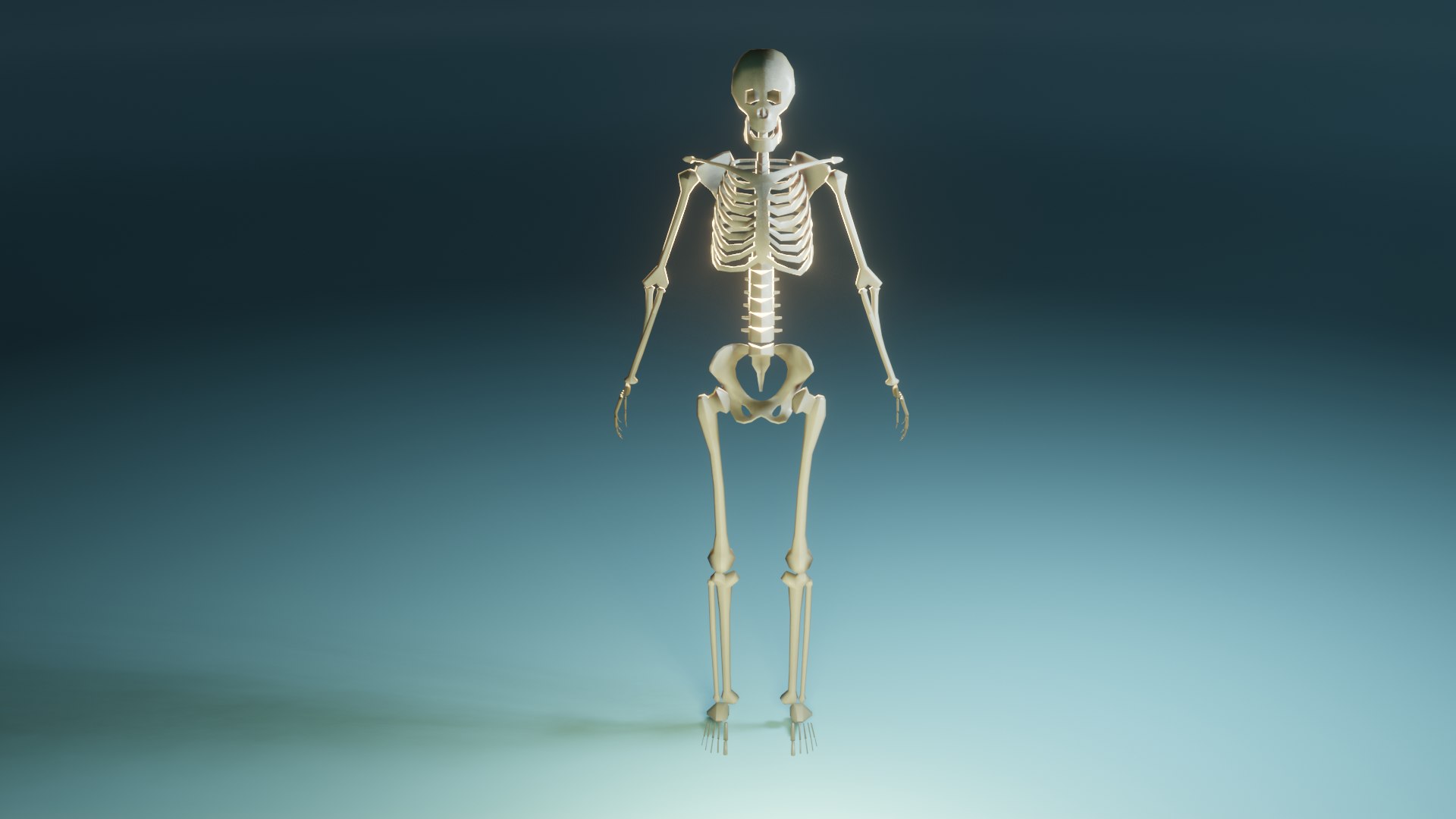 Skeleton rigged 3D model - TurboSquid 1589539