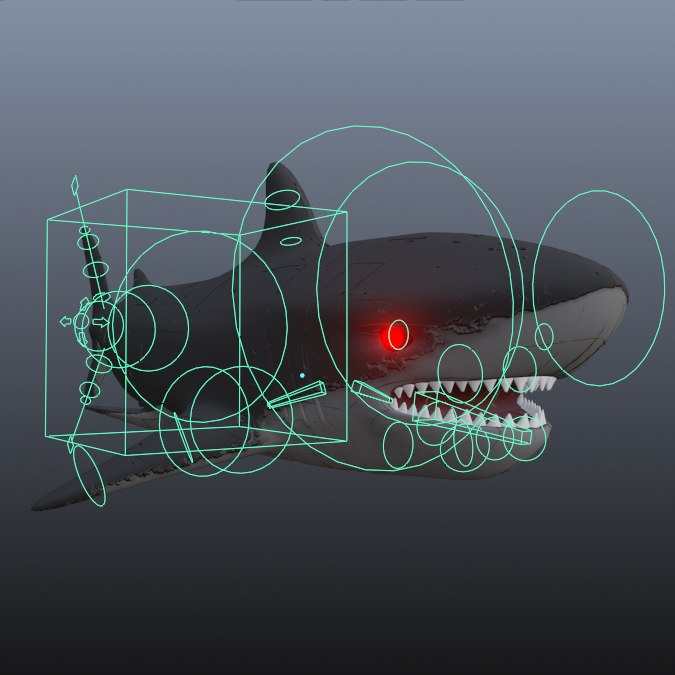 Rigged sharks animate 3D model - TurboSquid 1589218