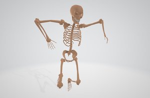 Human Skeleton Blender Models for Download | TurboSquid