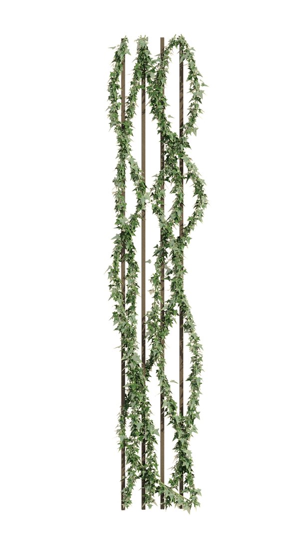 Plant ivy model - TurboSquid 1589881