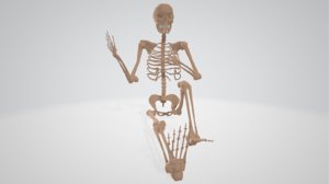 Human Skeleton Blender Models for Download | TurboSquid